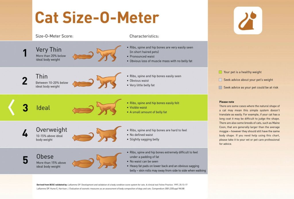 ASSALCO - Understanding Pet Food Labels